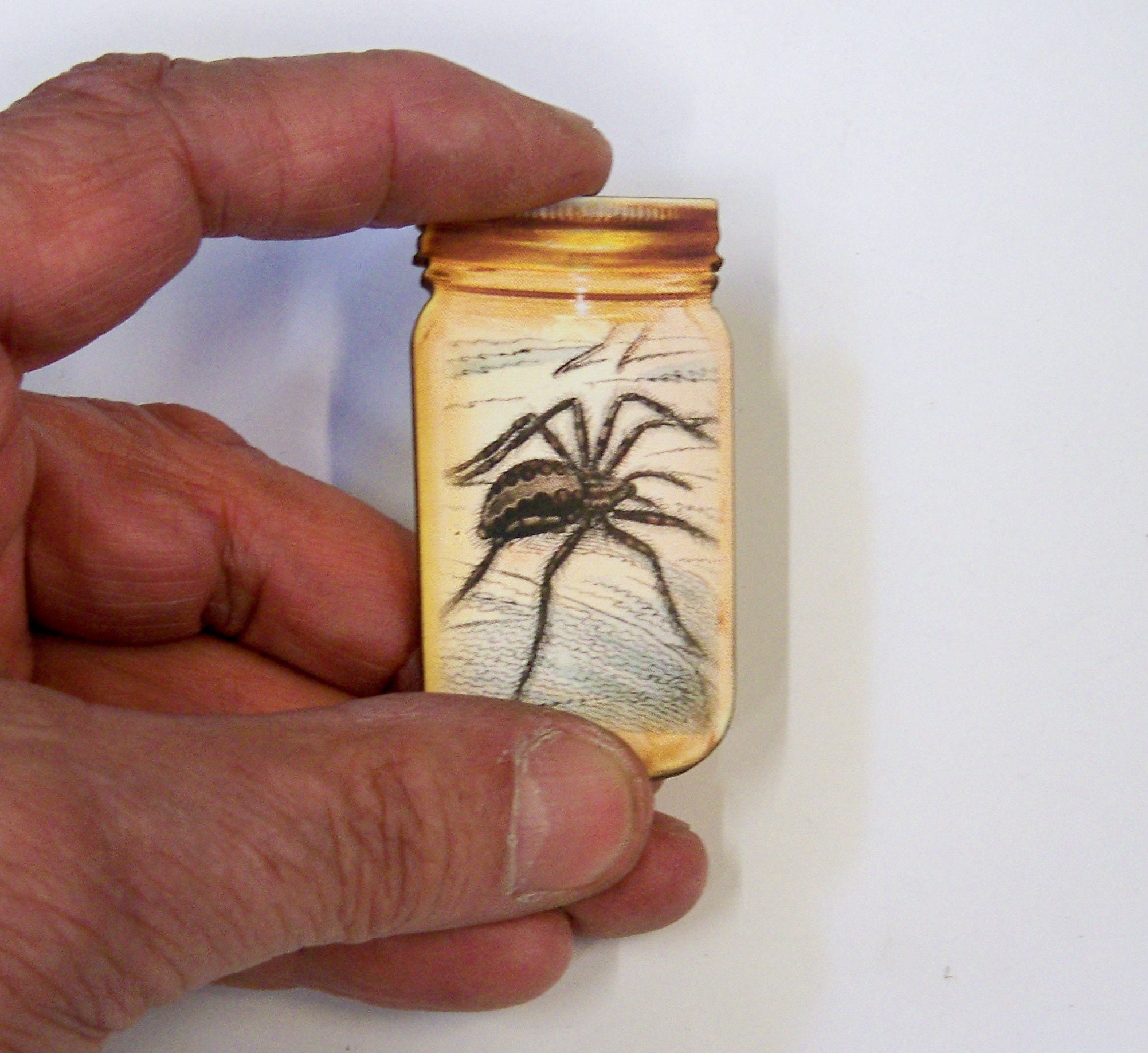 Creepy Crawly Creatures in a Jar. This is a Packet of 12 X - Etsy