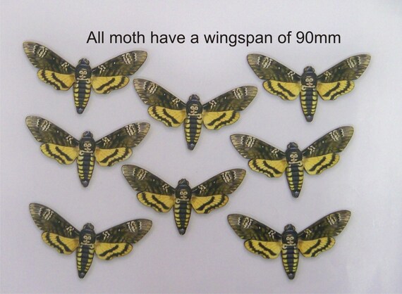 DEATH HEAD MOTHS. Wood Laser Cut for the Creative 8 per Packet | Etsy