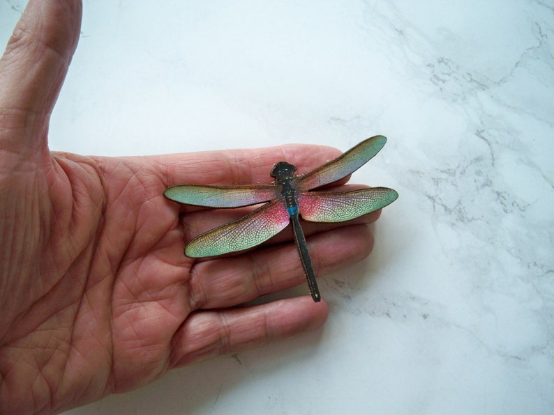 DRAGONFLY. the Harmless Insect. 9 X Dragonfly in a Pack. - Etsy UK