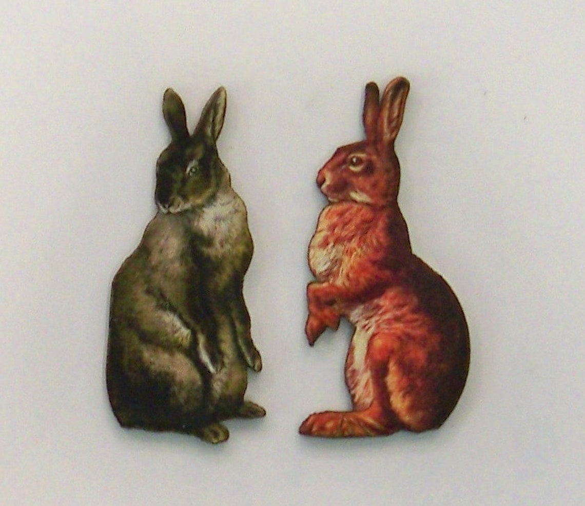 Hares and Rabbits. 12 X Vintage Art on Wood. - Etsy