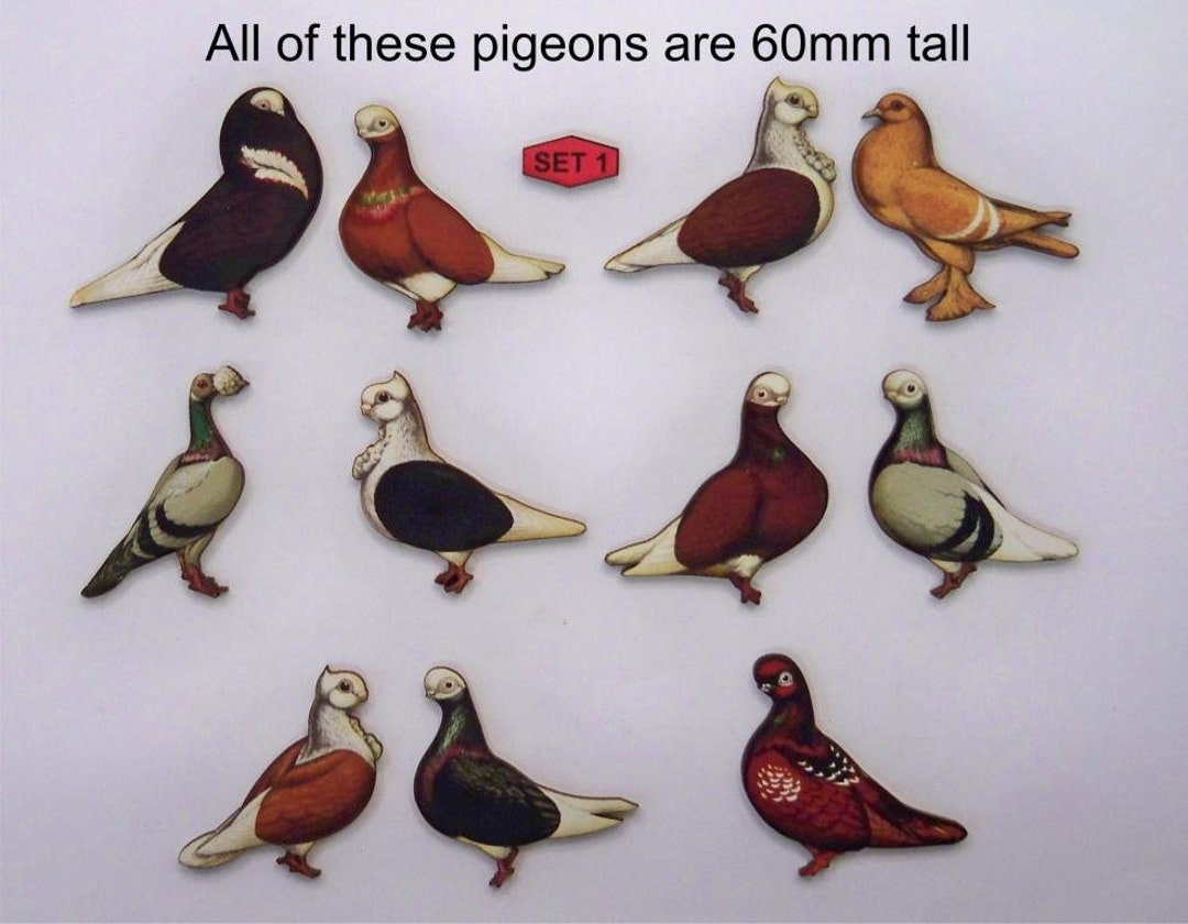 Pigeons. Some Fancy Pigeons. SET 1 A Pack of 11 X Laser Woodcuts - Etsy