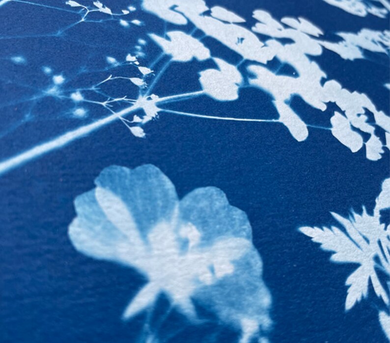 Blue Cyanotype on Paper Floral Composition Unique Piece - Etsy