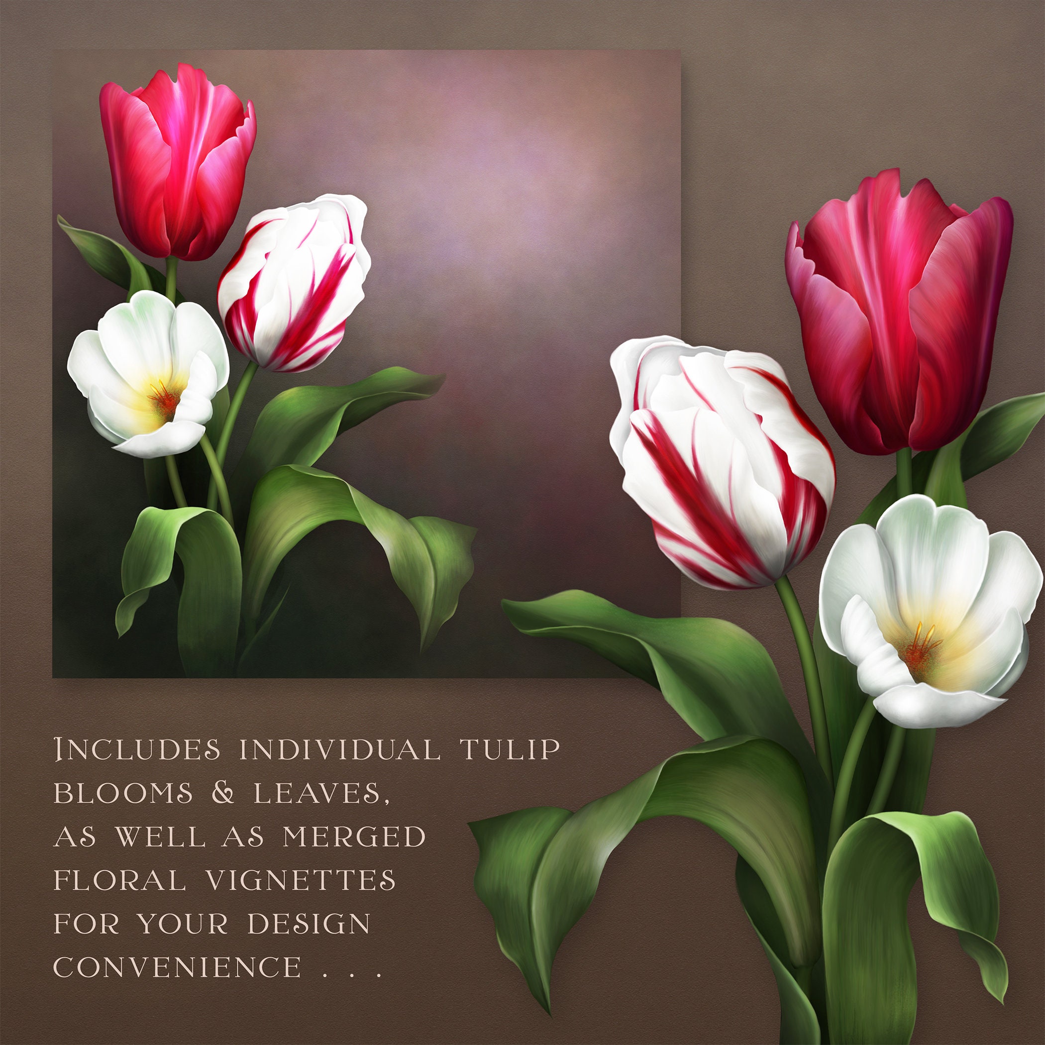 Tulip Vibrance, Digitally-painted Spring Tulip Design Resource - Etsy