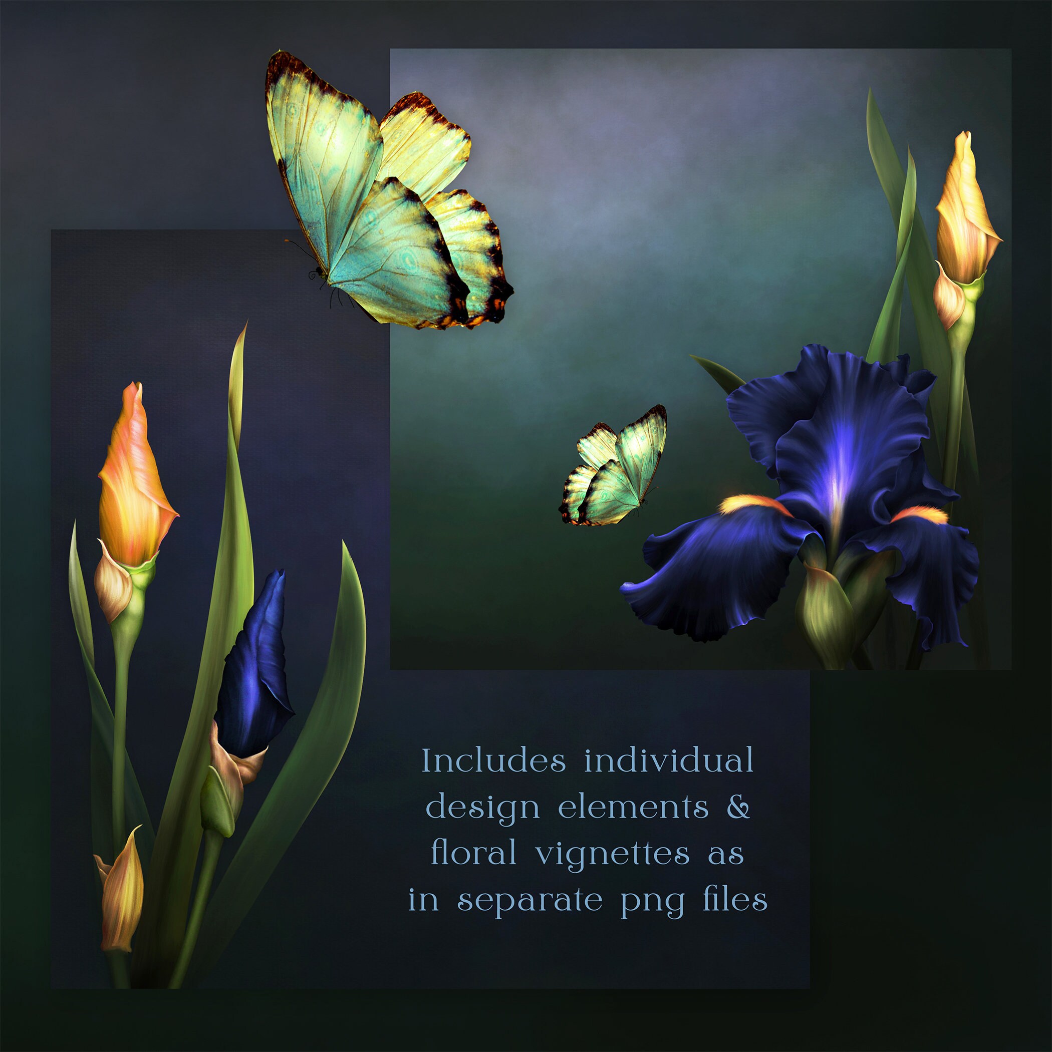 Iris Bliss Digitally-painted Bearded Iris Design Resource - Etsy