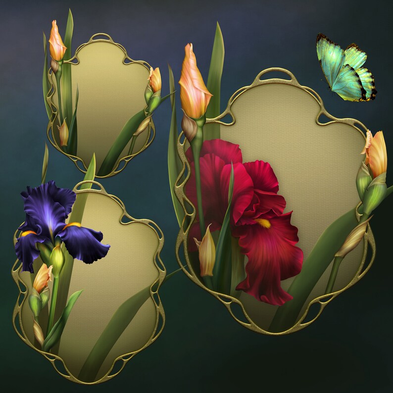 Iris Bliss Digitally-painted Bearded Iris Design Resource - Etsy