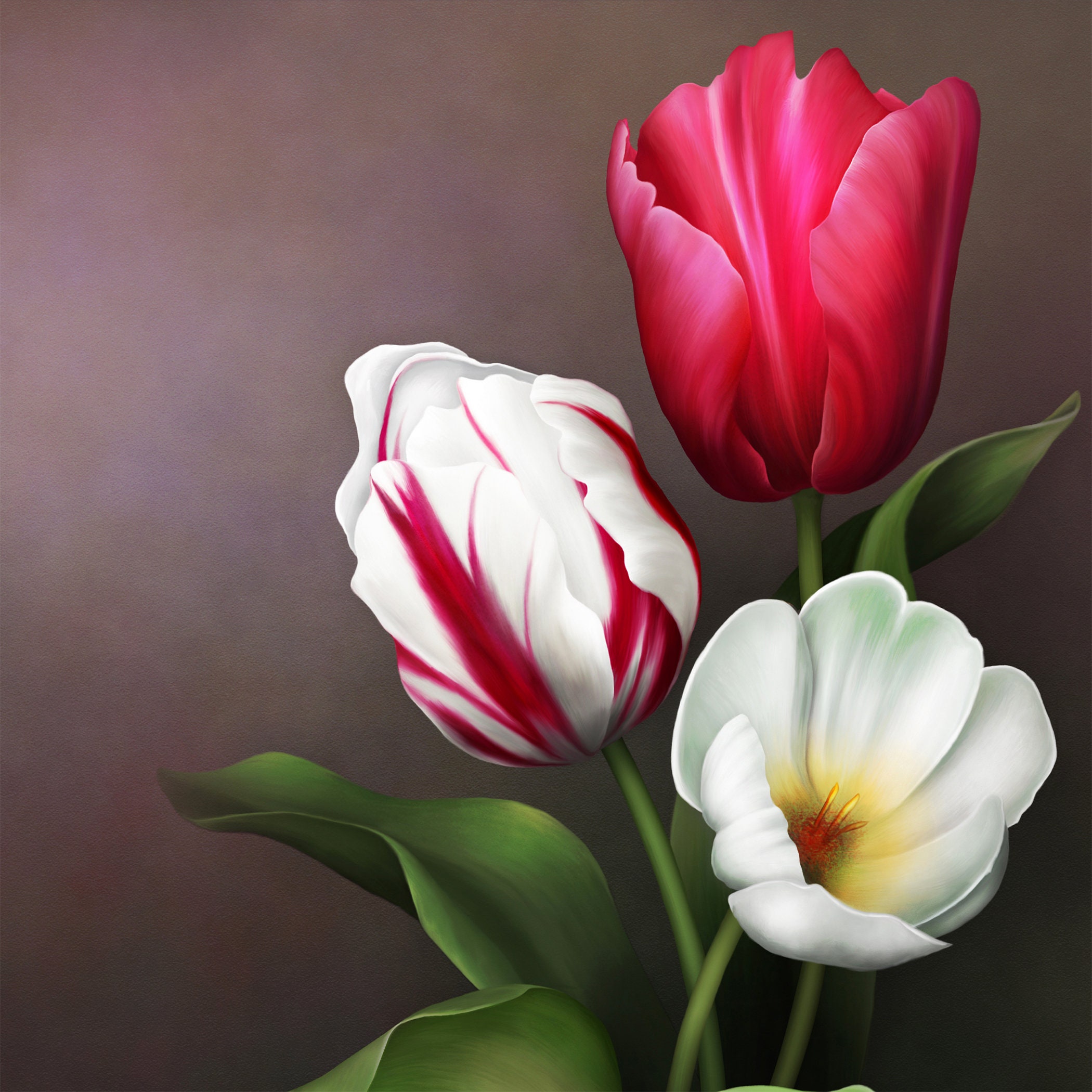 Tulip Vibrance, Digitally-painted Spring Tulip Design Resource - Etsy