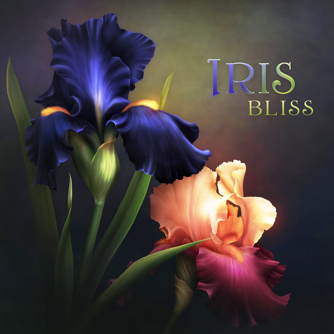 Iris Bliss Digitally-painted Bearded Iris Design Resource - Etsy