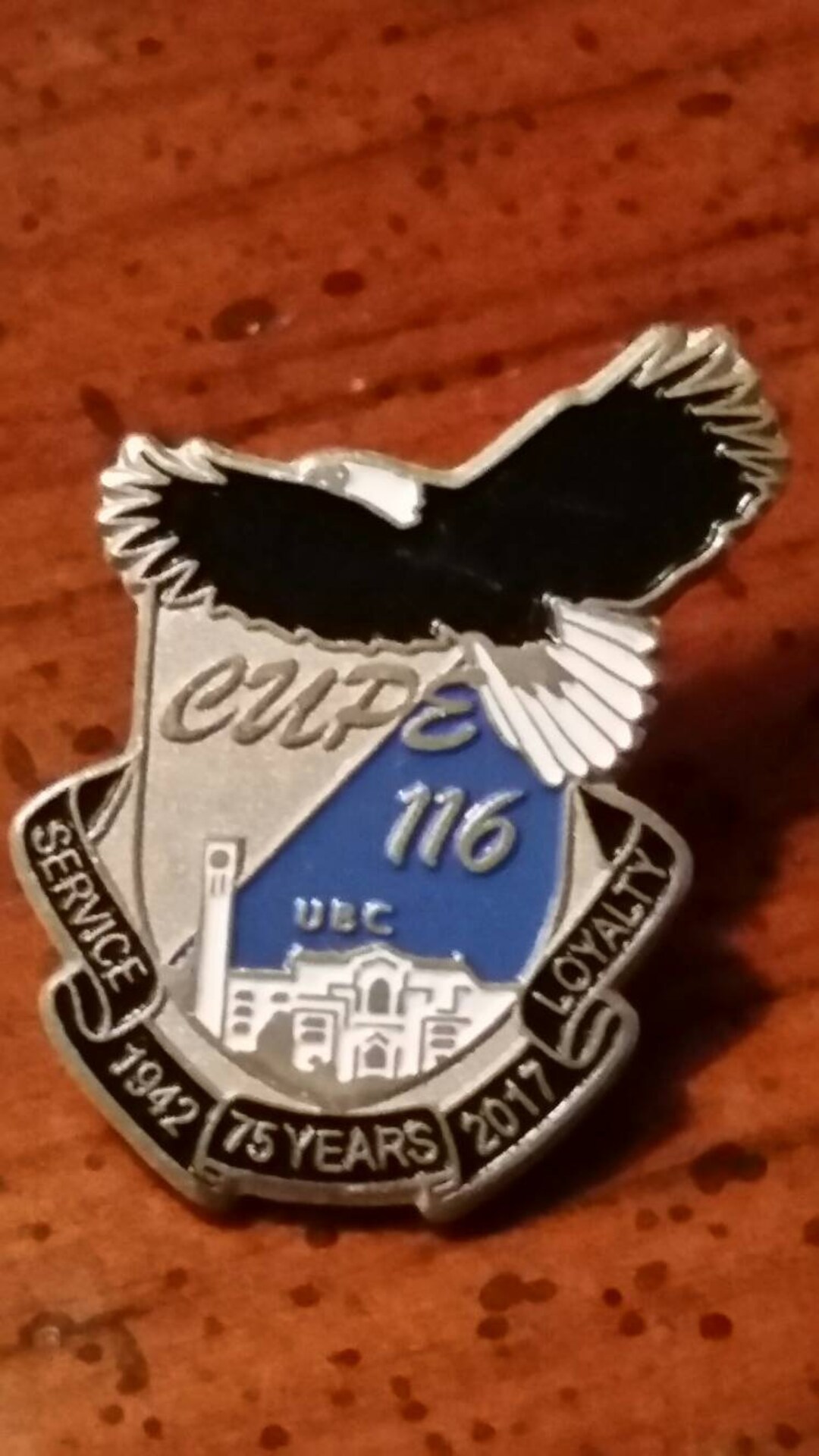 Vintage University of British Columbia CUPE 116 Pins and Board of ...