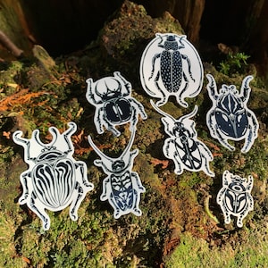 Beetle Insect Bug Vinyl Sticker Pack - Etsy