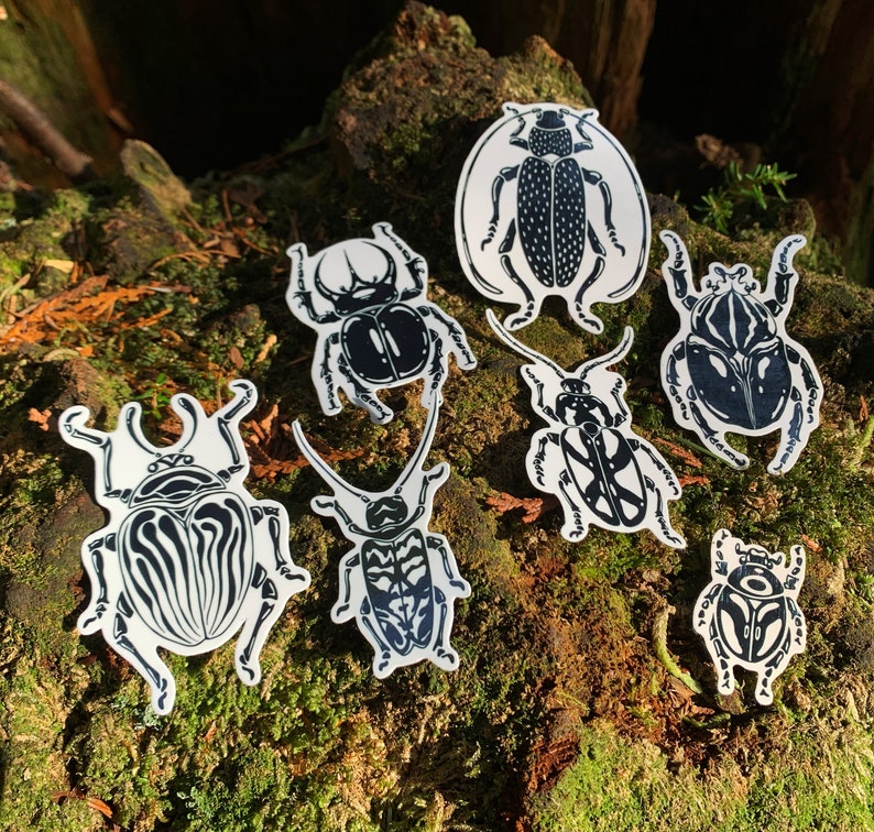 Beetle Insect Bug Vinyl Sticker Pack - Etsy