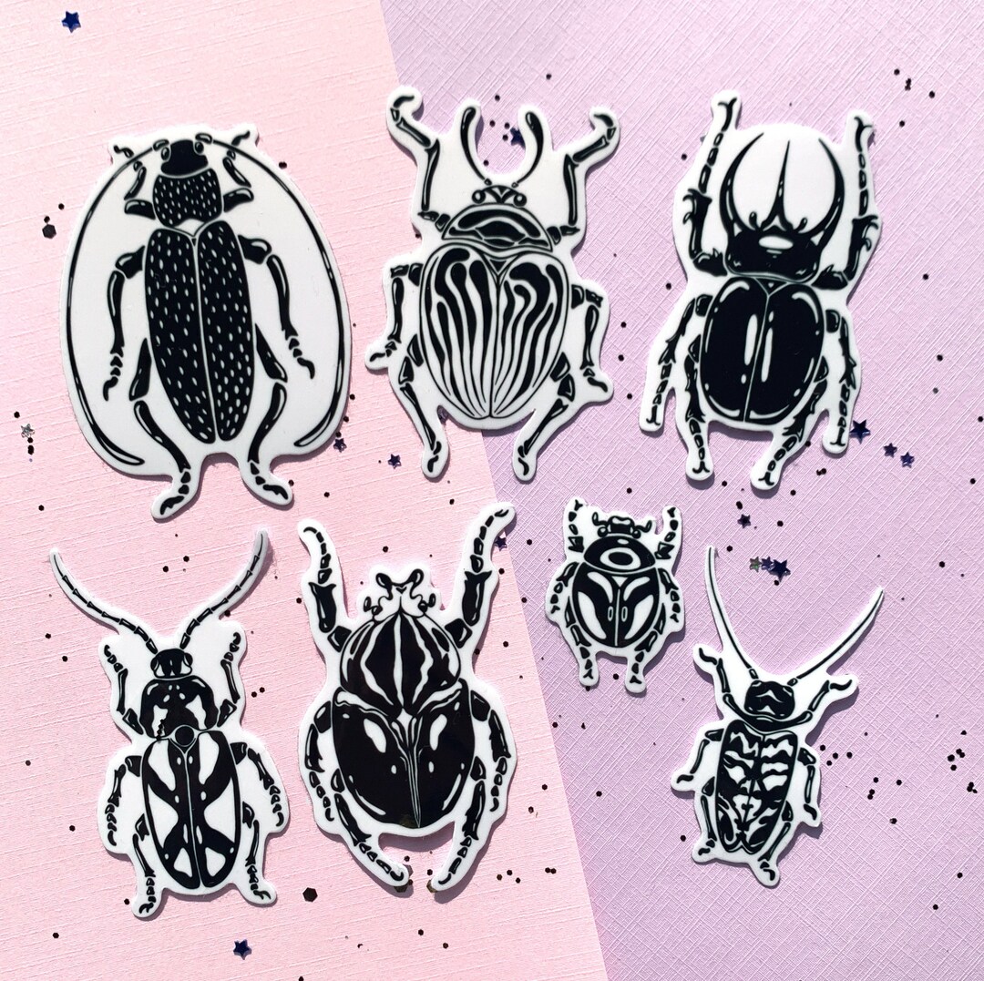 Beetle Insect Bug Vinyl Sticker Pack - Etsy