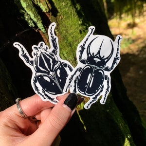 Beetle Insect Bug Vinyl Sticker Pack - Etsy