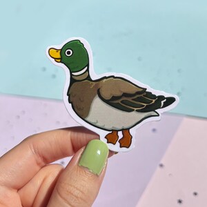 Little Mallard Duck Vinyl Sticker - Etsy