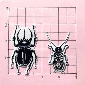 Beetle Insect Bug Vinyl Sticker Pack - Etsy