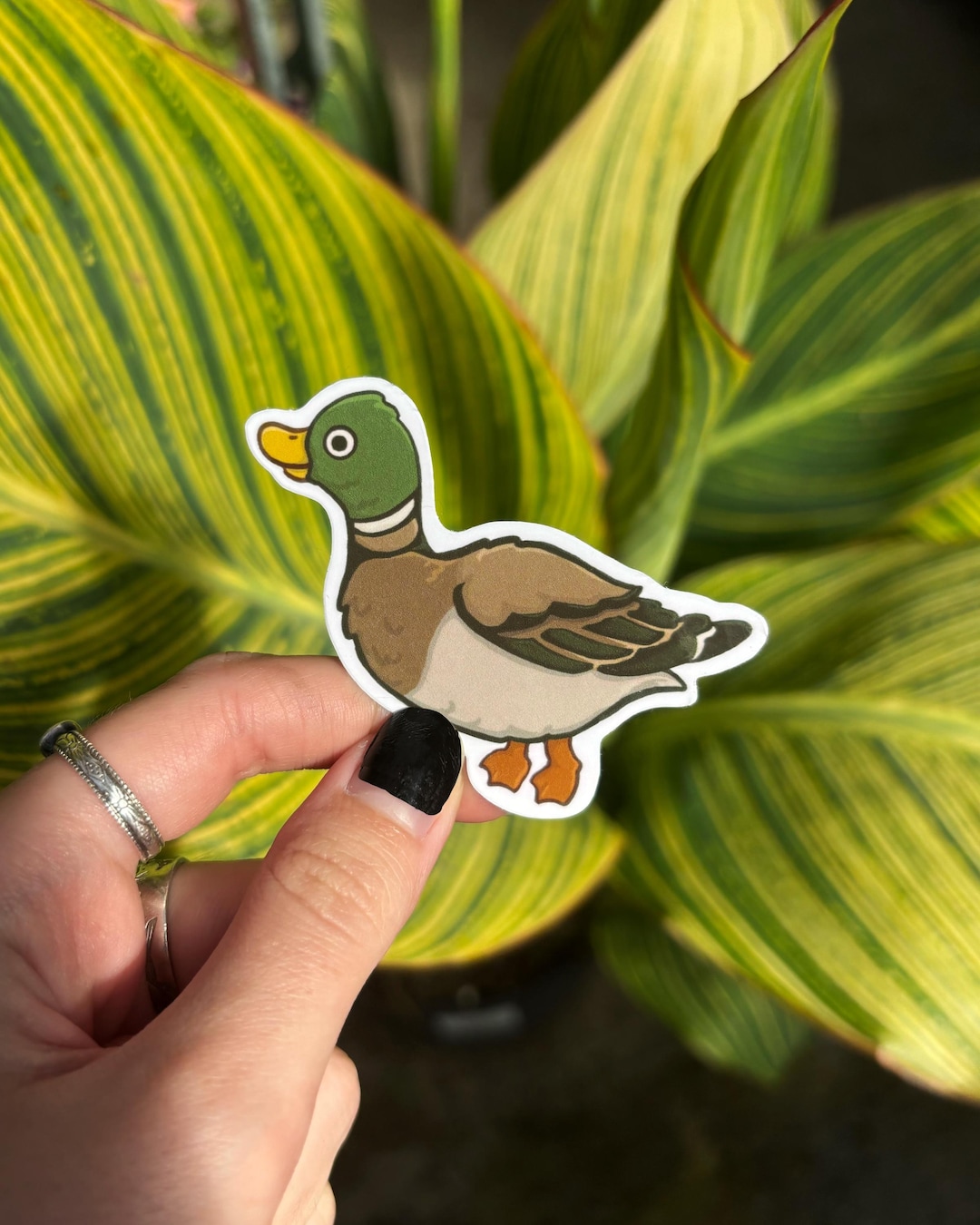 Little Mallard Duck Vinyl Sticker - Etsy
