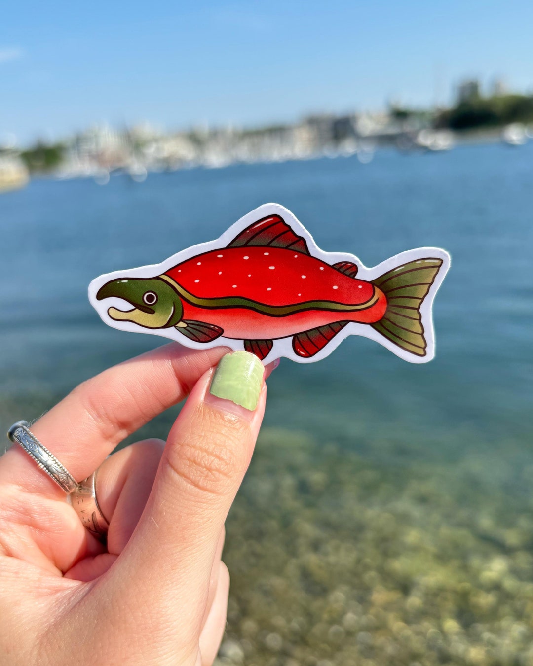 Red Salmon Fish Vinyl Sticker - Etsy