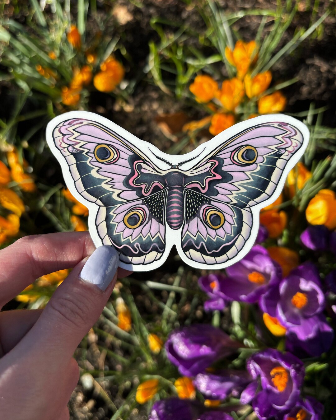 Silk Moth Butterfly Vinyl Sticker - Etsy
