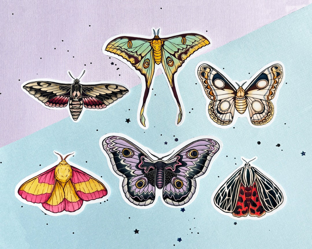 Moth Butterfly Insect Vinyl Sticker Pack - Etsy