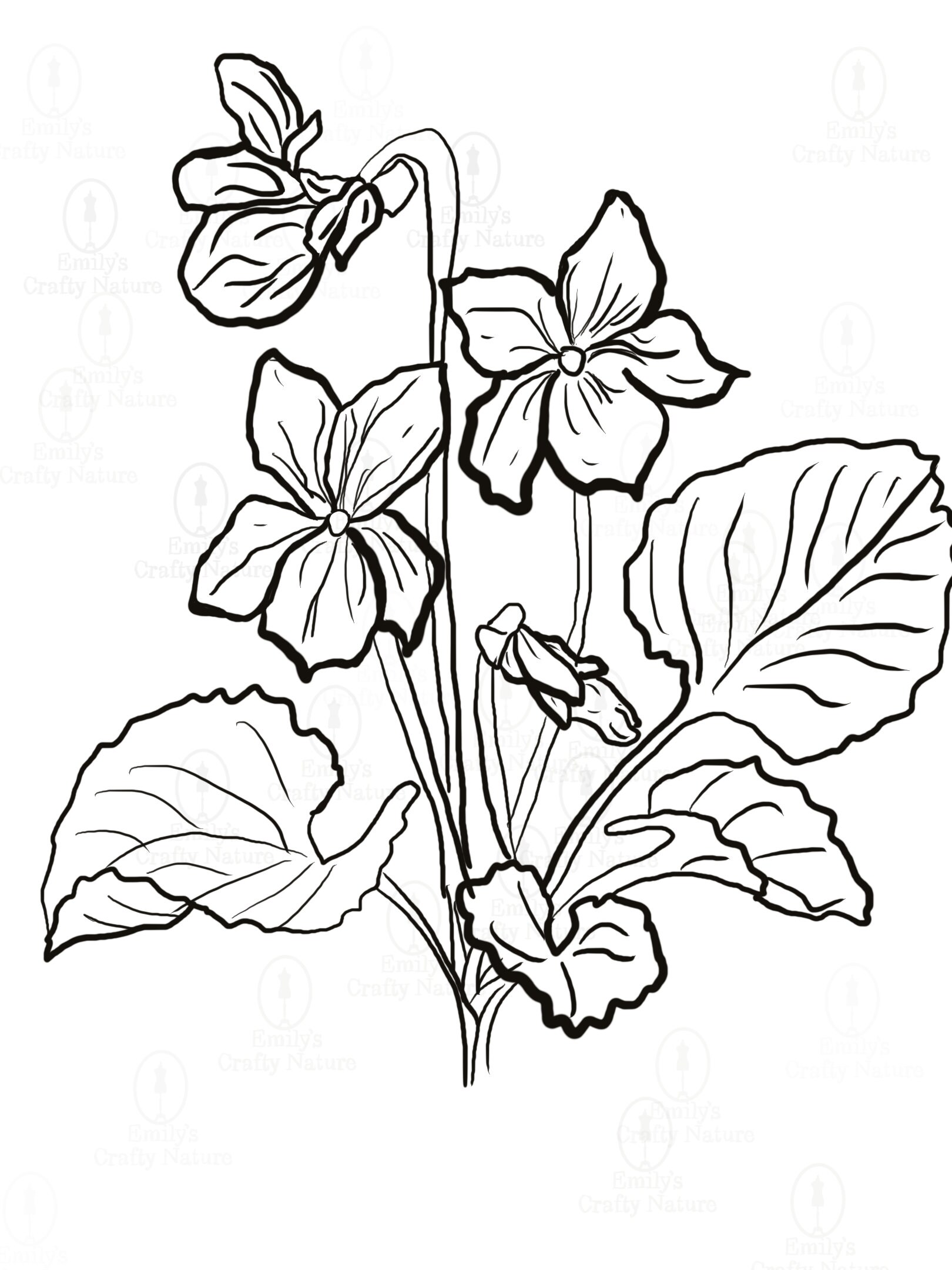 Floral Coloring Pages Spring Equinox - Etsy