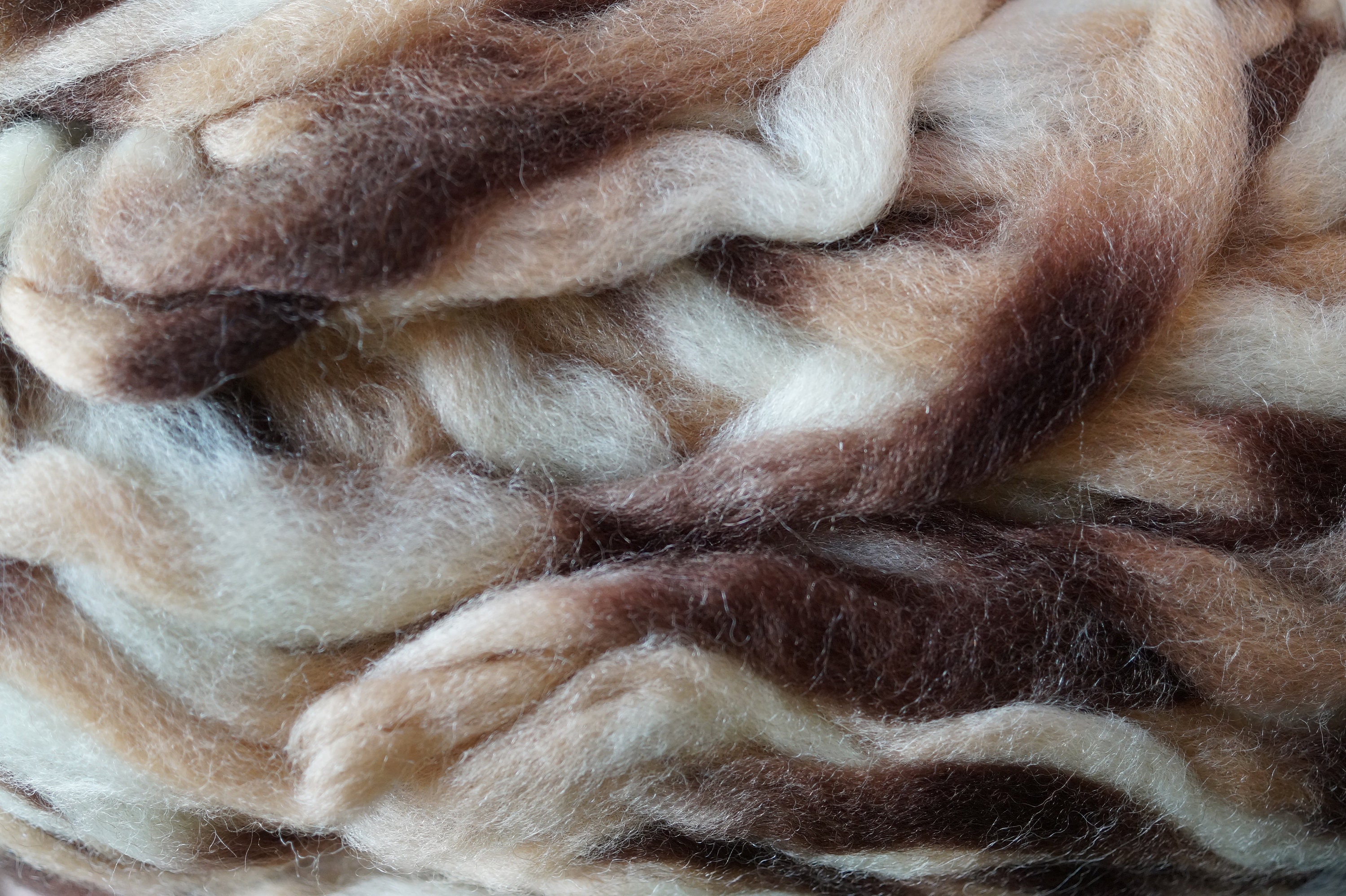 Merino Northern Lights Roving from Louet last color