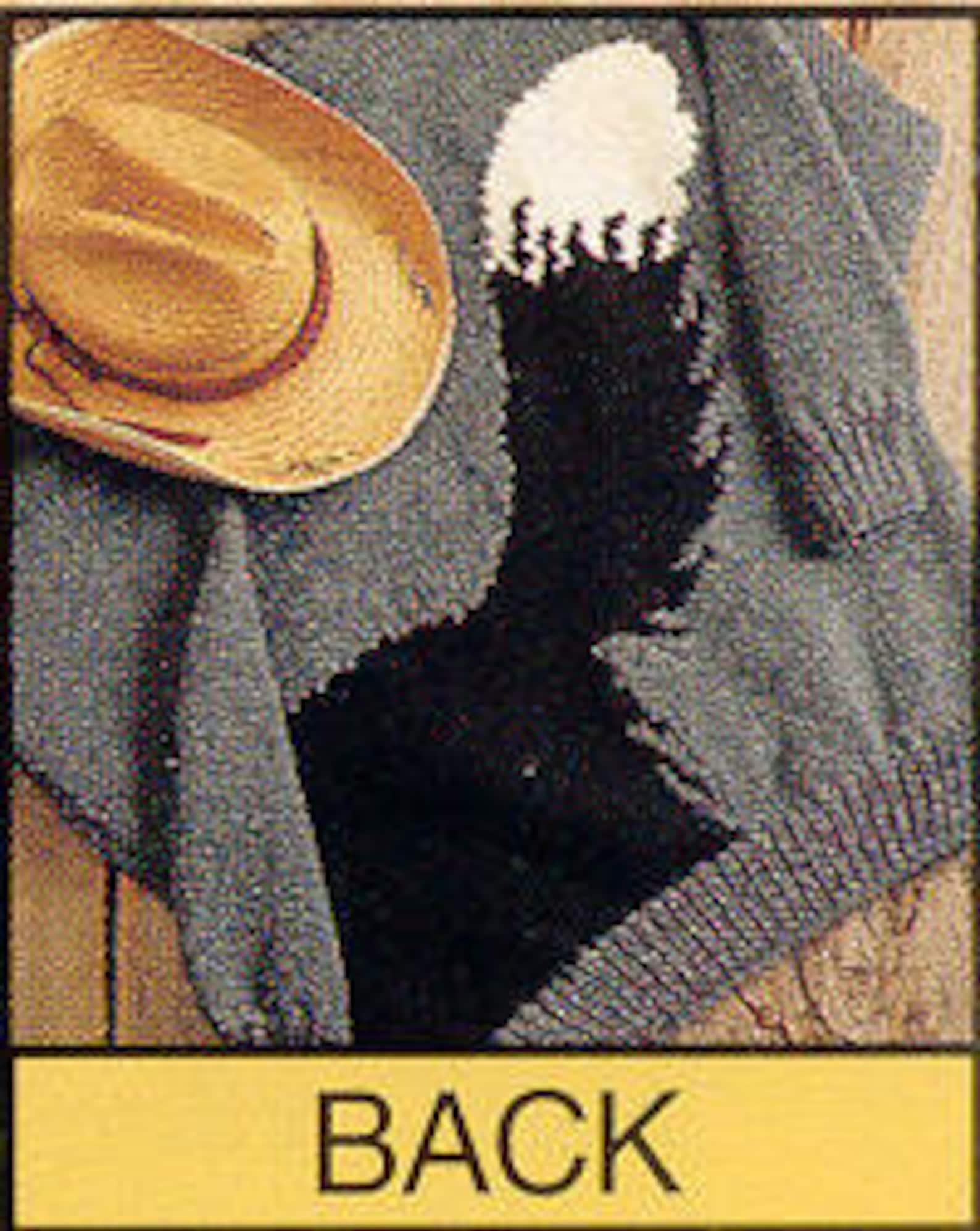 Border Collie Knitting Pattern Book From Bernat Family Sizing Digital ...