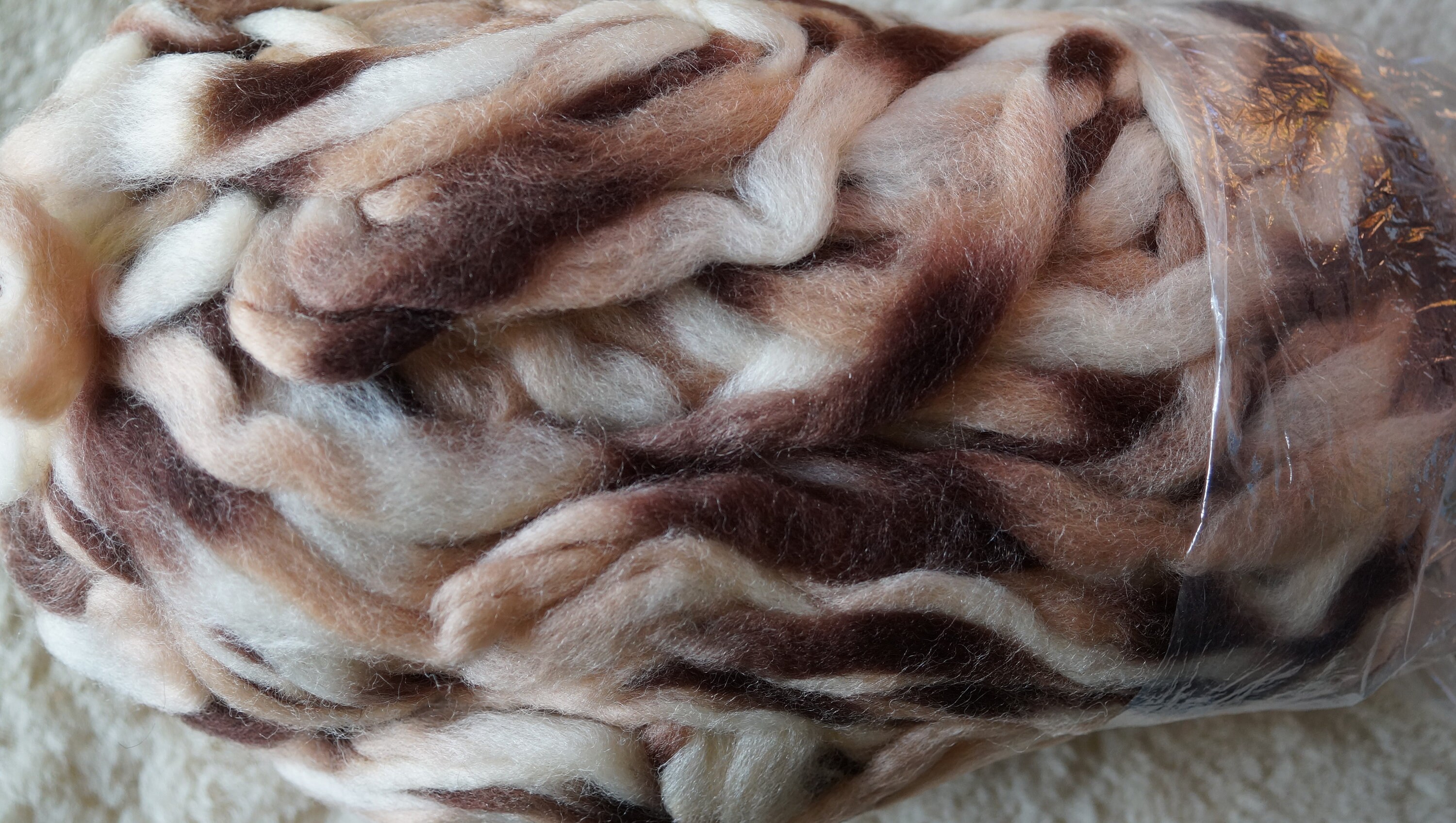 Merino Northern Lights Roving from Louet last color