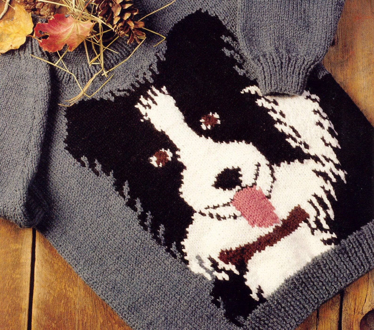 Border Collie Knitting Pattern Book From Bernat Family Sizing Digital ...