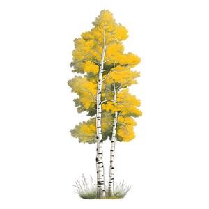 Autumn Aspen Tree Sticker - Embrace the Beauty of Fall - Waterproof ...