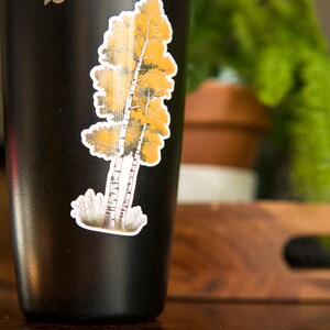 Autumn Aspen Tree Sticker - Embrace the Beauty of Fall - Waterproof ...