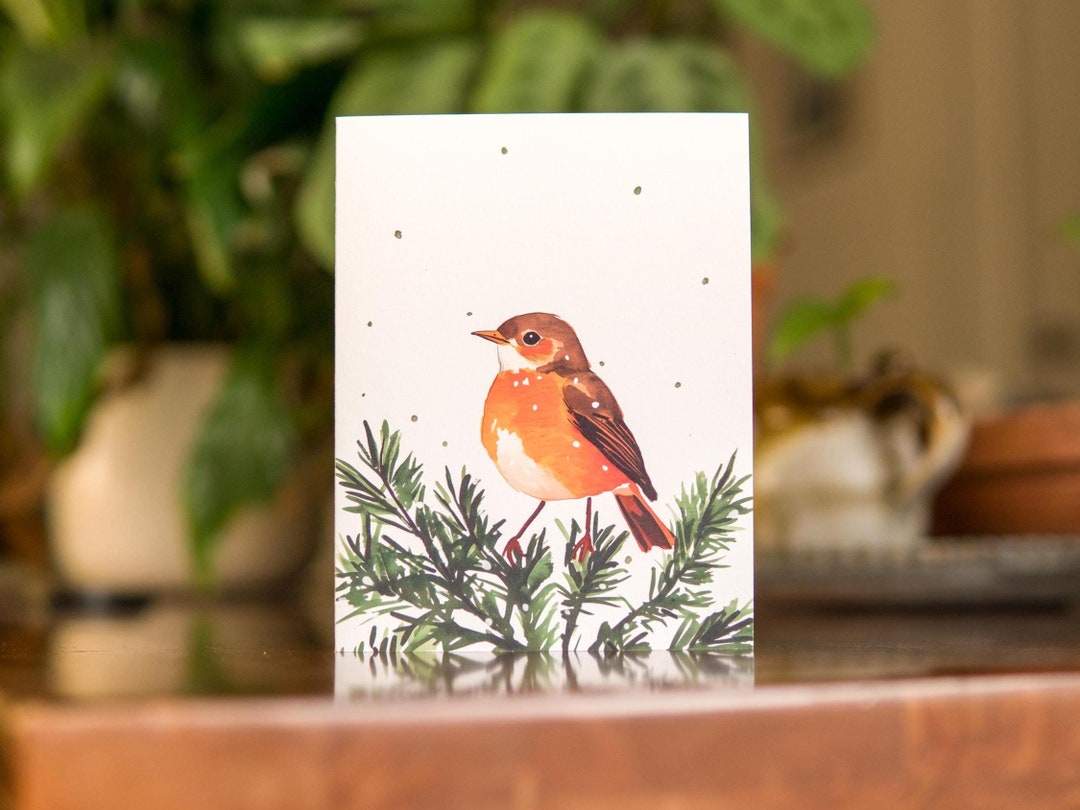 Winter Bird Watercolor Note Card, Snowy Song Bird in Evergreen Tree ...