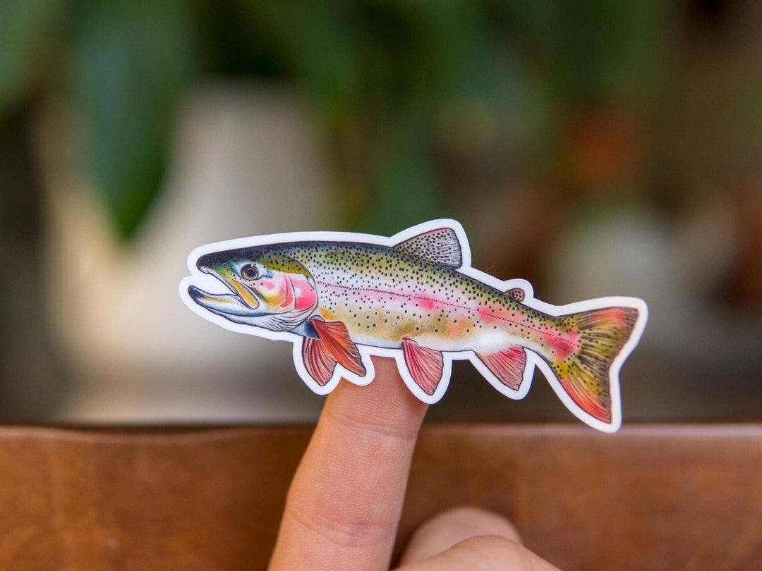 Rainbow Trout Sticker – Waterproof Vinyl Decal, Gift Idea for Anglers ...