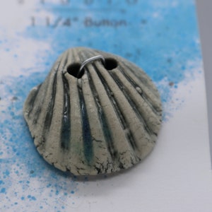 Seashell Buttons - Etsy