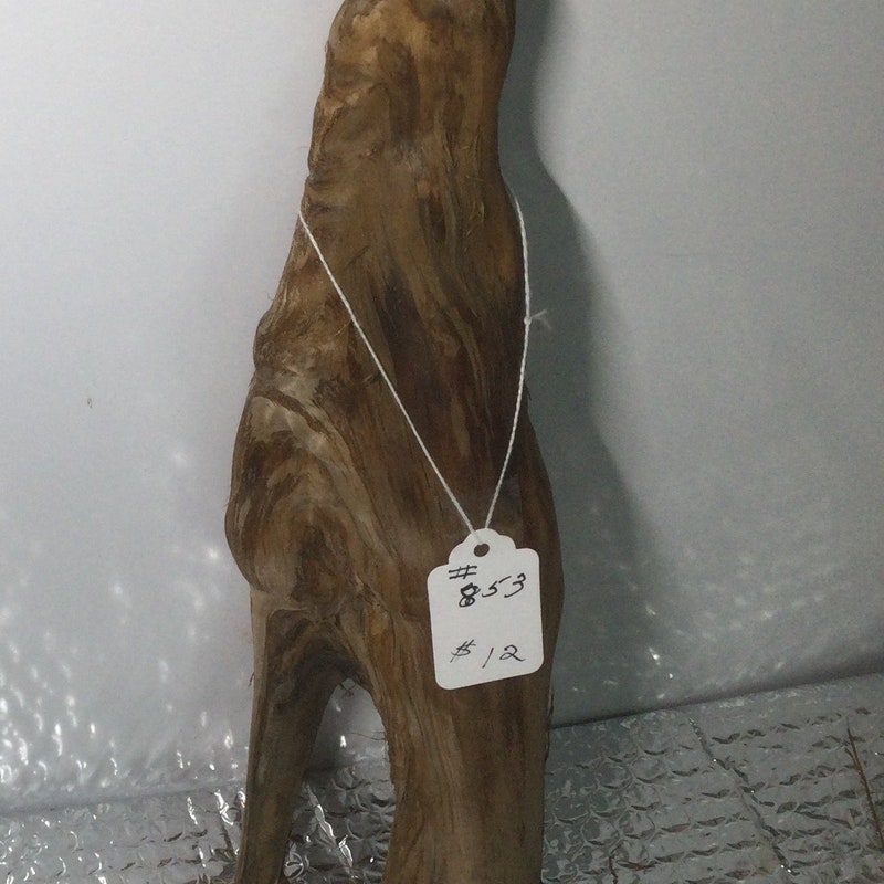 Cypress Knees - Etsy