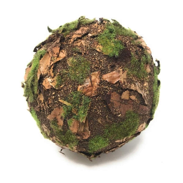 Moss Balls - Etsy