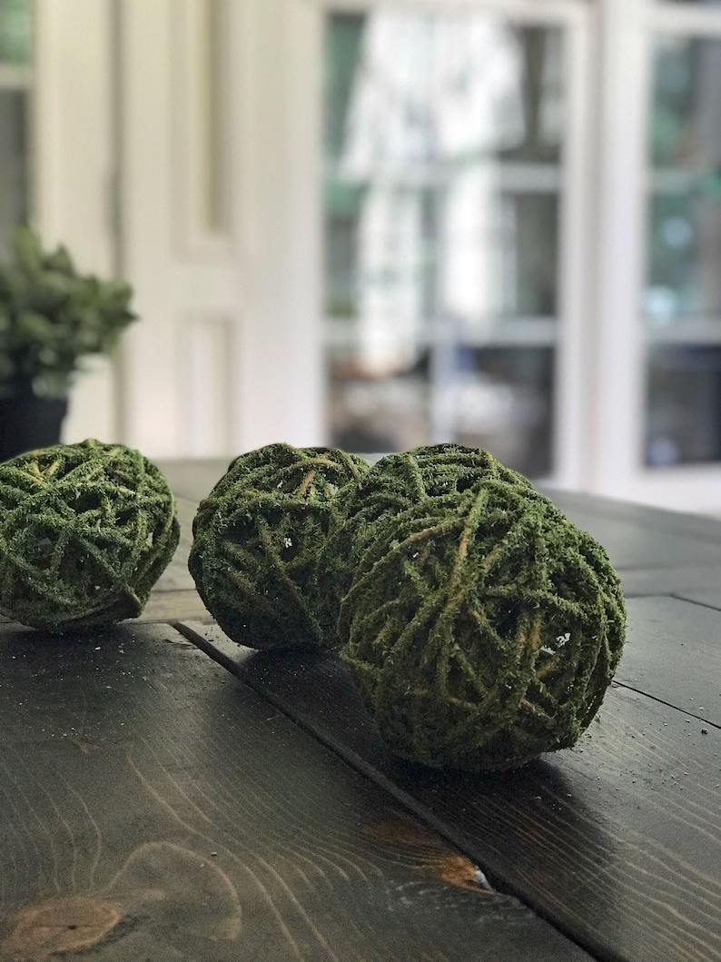 Moss Covered Curly Willow Ball - Etsy Canada