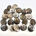 22 Firmin & Sons Ltd British Livery Buttons, 153 the Strand London - Etsy