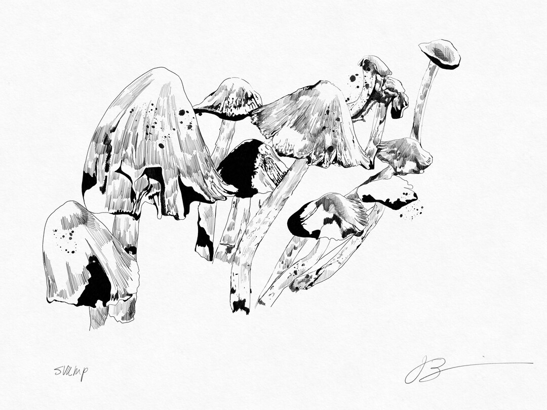 SVAMP, Drawing, Digital Download, Printable Poster, Wall Art, Nature ...