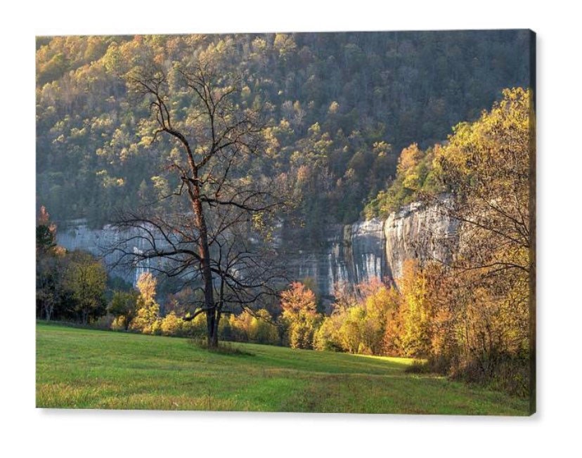 Roark Bluff Landscape Steel Creek Sunset Fall Foliage | Etsy