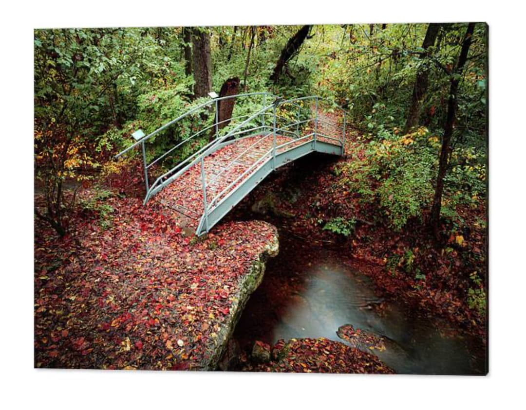 Tanyard Creek Bridge, Bella Vista Arkansas, Nature Wall Art, Ozark ...