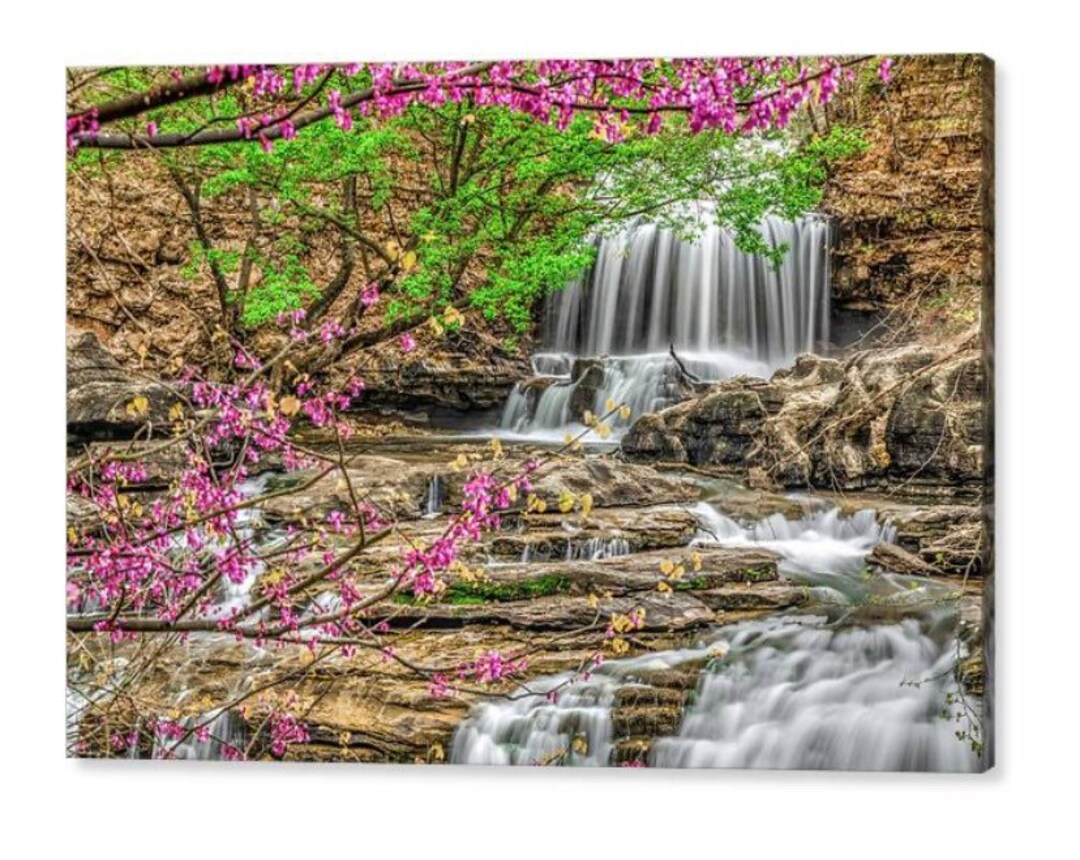 Ozark Mountains Spring