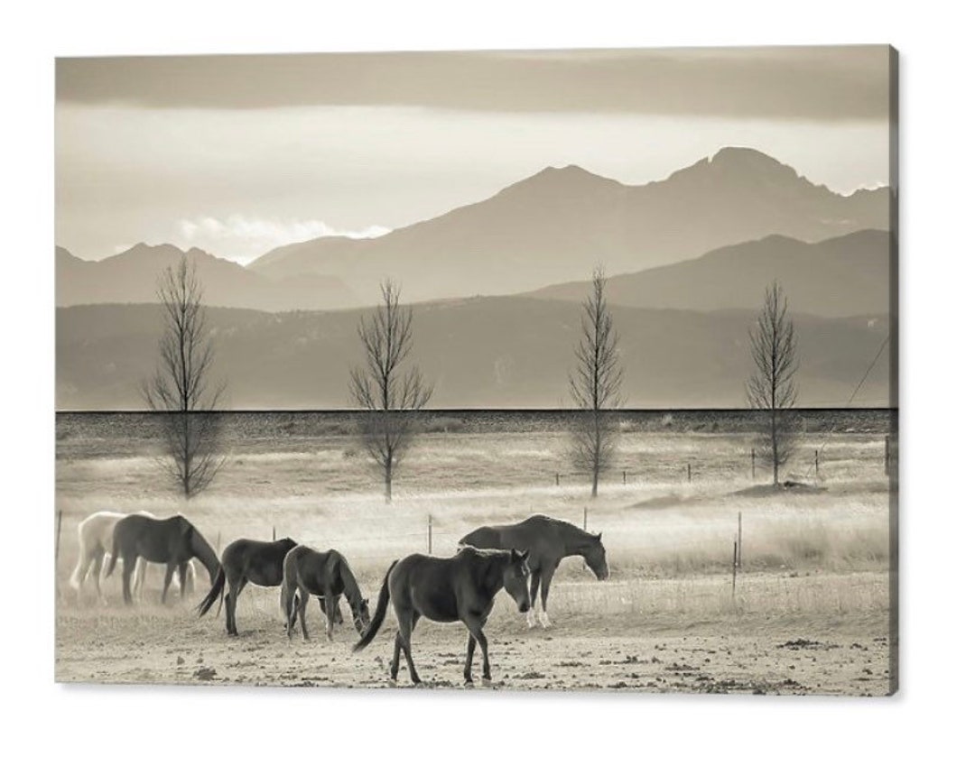 Sepia Wild Horses Print: Colorado Mountain Landscape Wall Art - Etsy