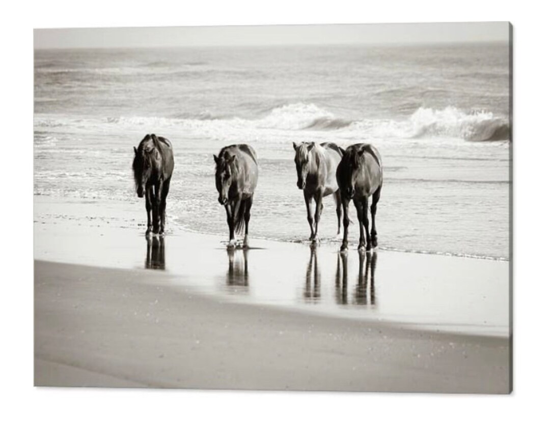 Sepia Wild Horses Print: OBX Coastal Seascape Photography - Etsy