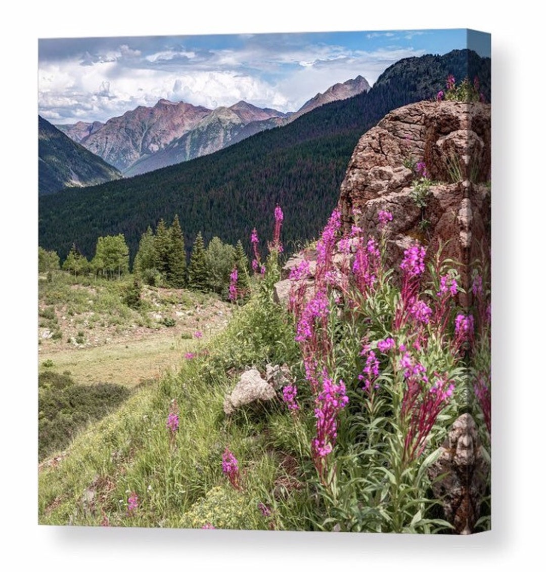 Molas Pass Print, Million Dollar Highway, Mountain Landscape, Square ...