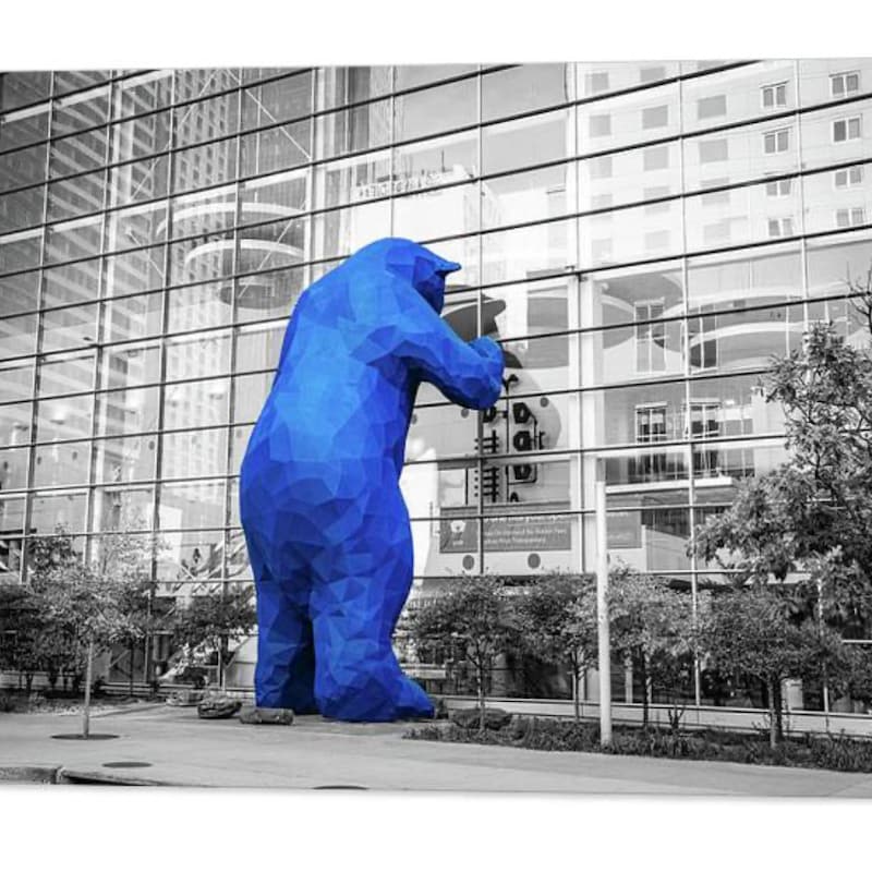 Denver Blue Bear Art - Etsy