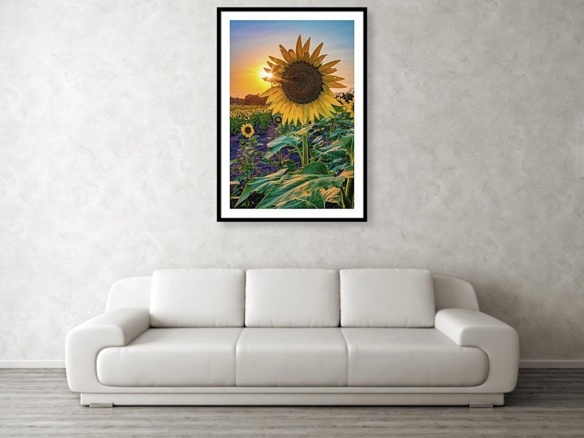 Grinter Sunflower Farm Lawrence Kansas Flower Prints Kansas | Etsy