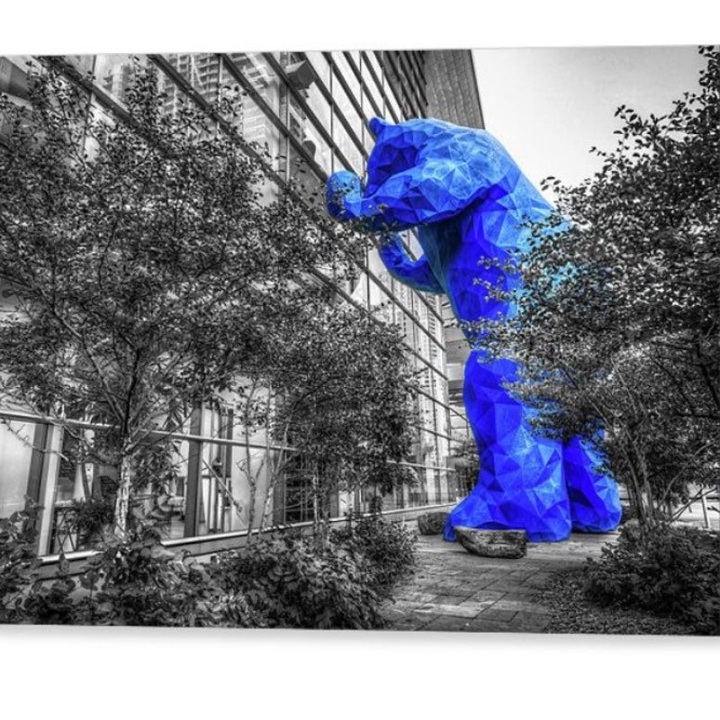 Denver Blue Bear Art - Etsy