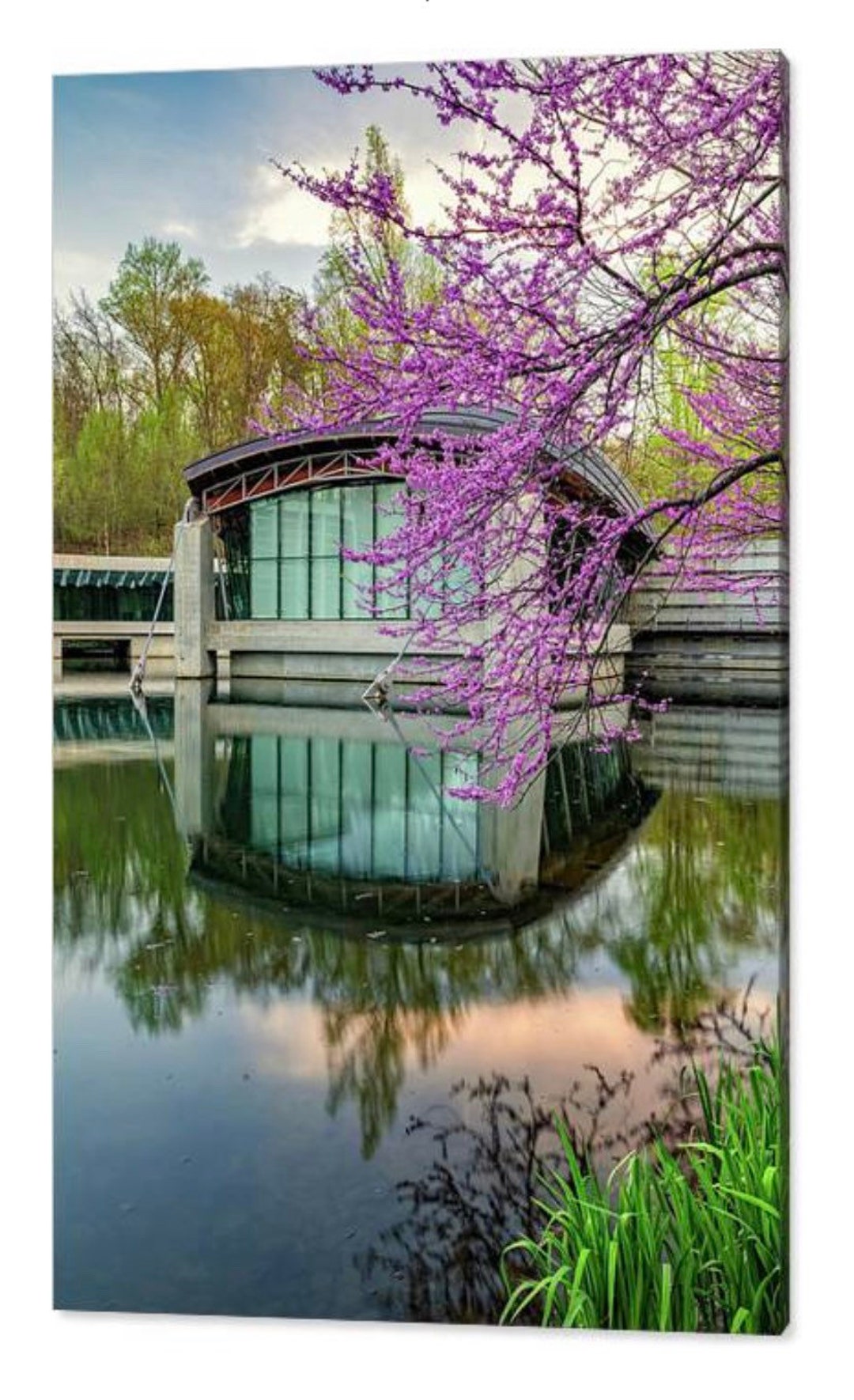Crystal Bridges, Art Museum, Redbud Trees, Spring Colors, Bentonville ...