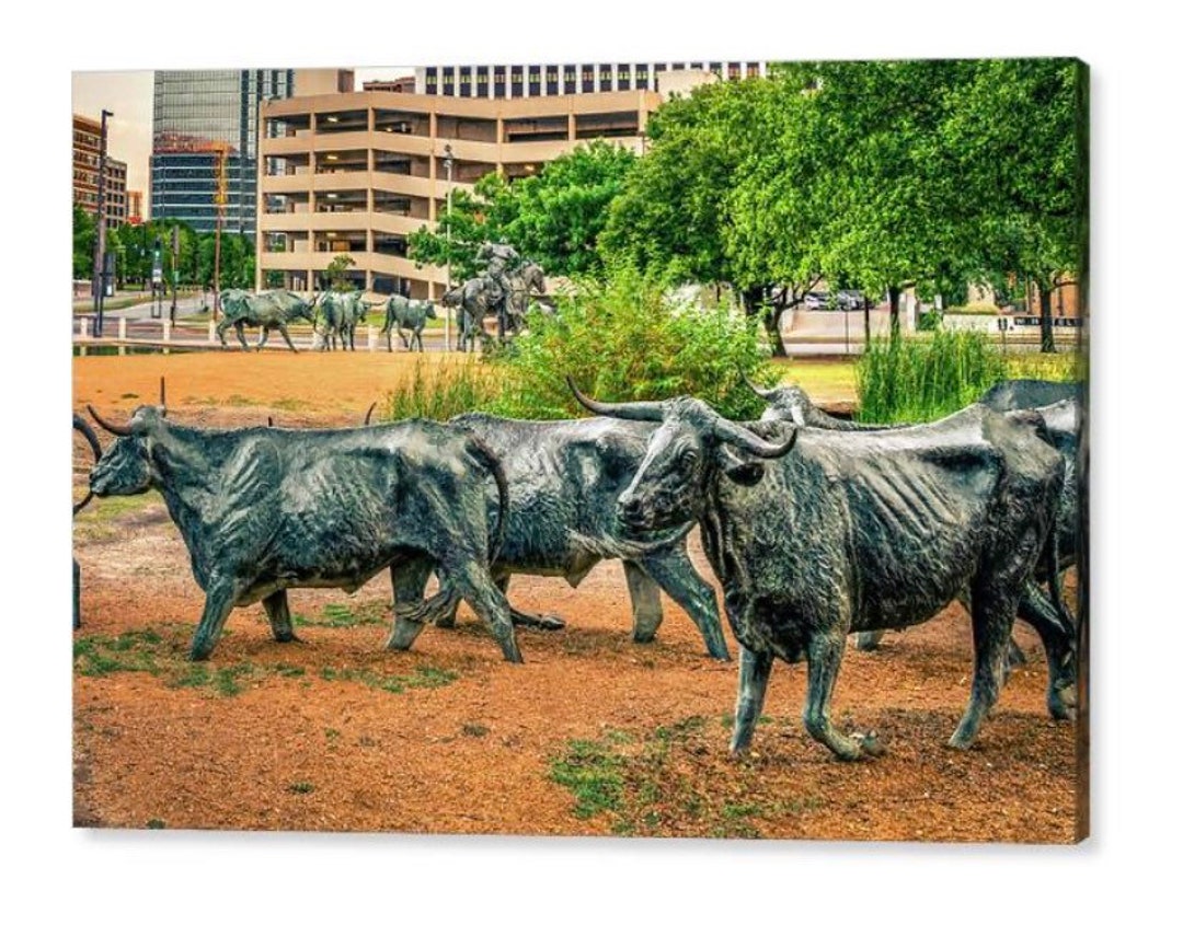 Dallas Longhorn Cattle Drive Sculpture Art Print: Pioneer Plaza - Etsy