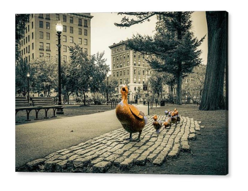 Boston Common Duck Statue