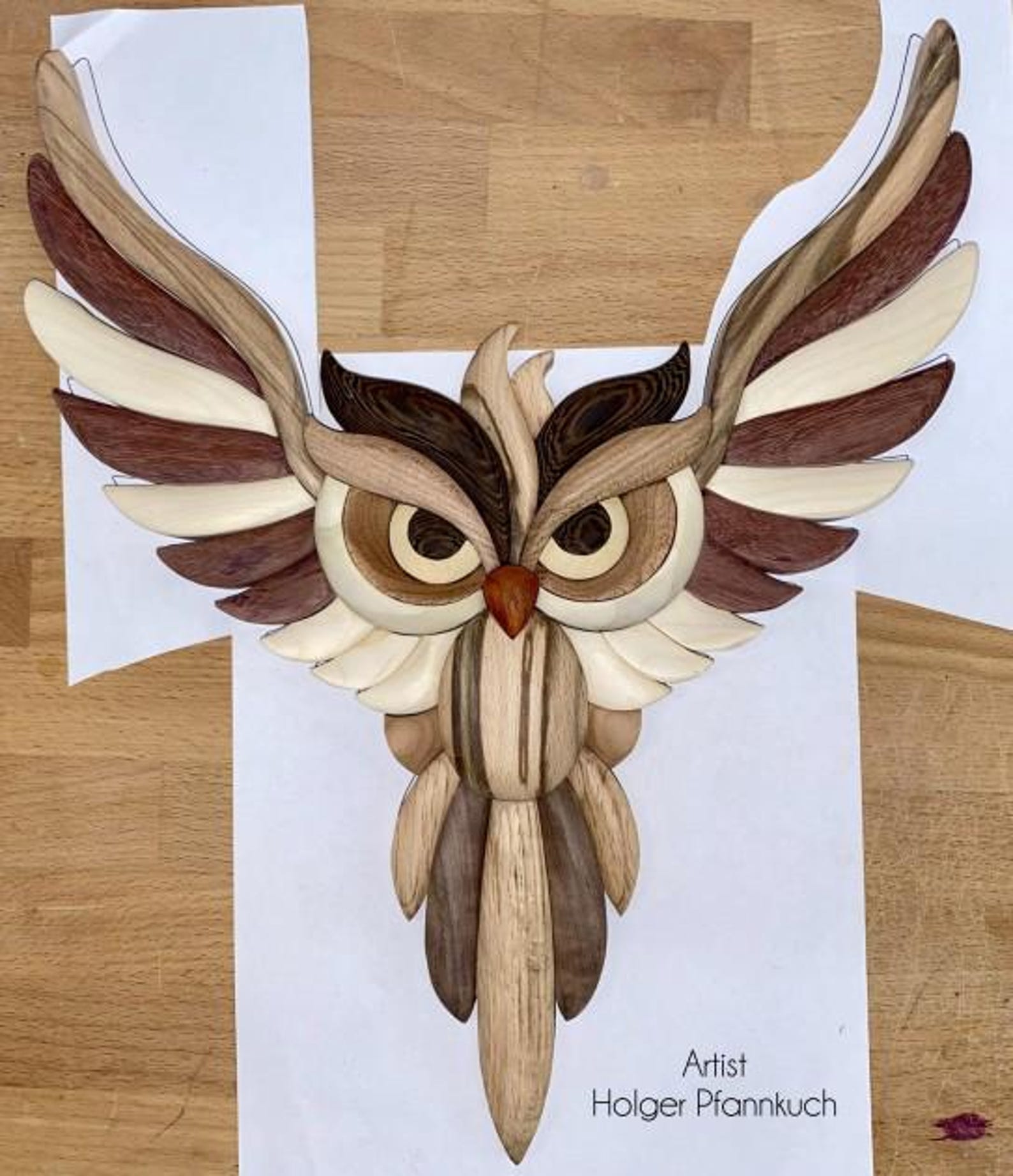 Funky Owl in Flight Intarsia Pattern - PDF Digital Version Only - Etsy